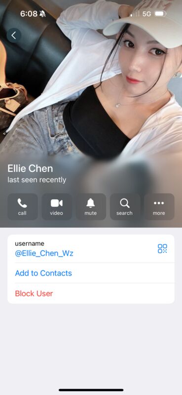 (310) 447-1438 | 2 reports | 81 comments