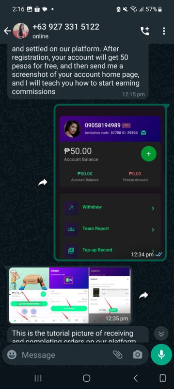+639273315122 | Filimena | Investment scam