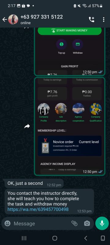 +639273315122 | Filimena | Investment scam