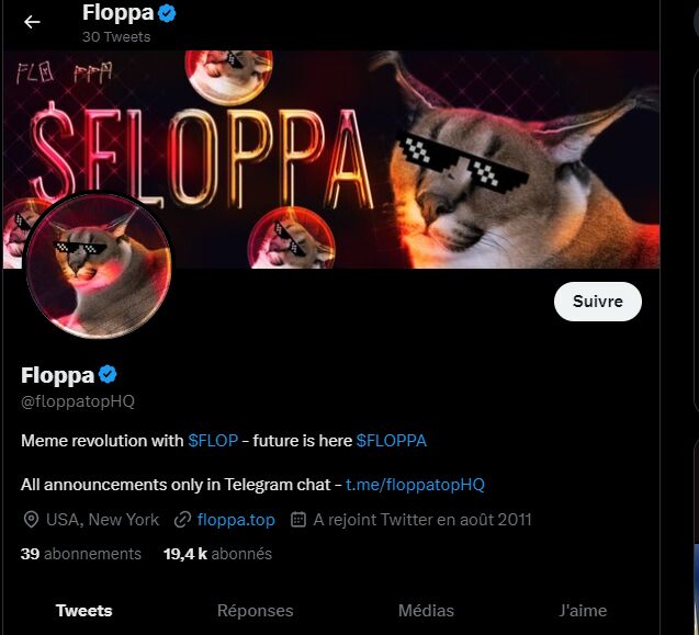 floppa coin / $FLOP | Investment scam