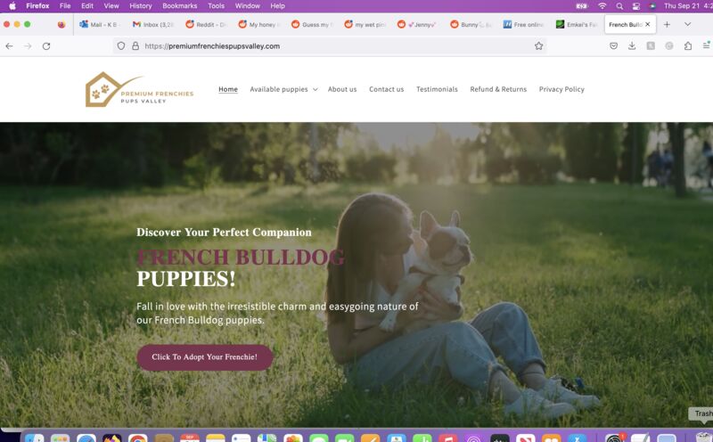 Premiumfrenchiespupsvalley.com | Infopremiumfrenchiespups@gmail.com | 1 ...