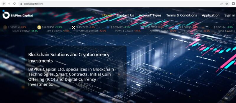 Bitpluscapital.com | Support@bitpluscapital.com | BitPlus Capital Ltd | 1 report