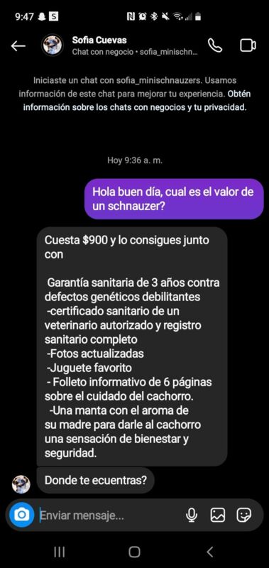 Instagram.com | Msabrina206@gmail.com | Sofia cuevas | 1 report