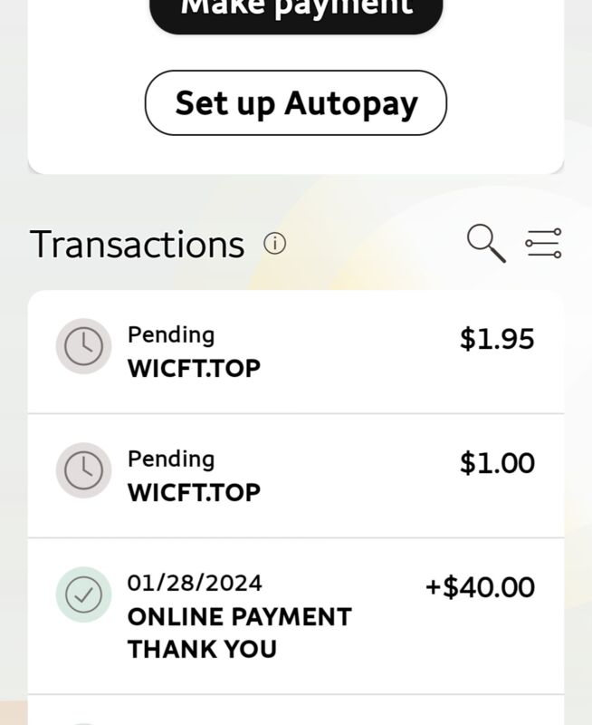 WICFT.TOP | 1 report