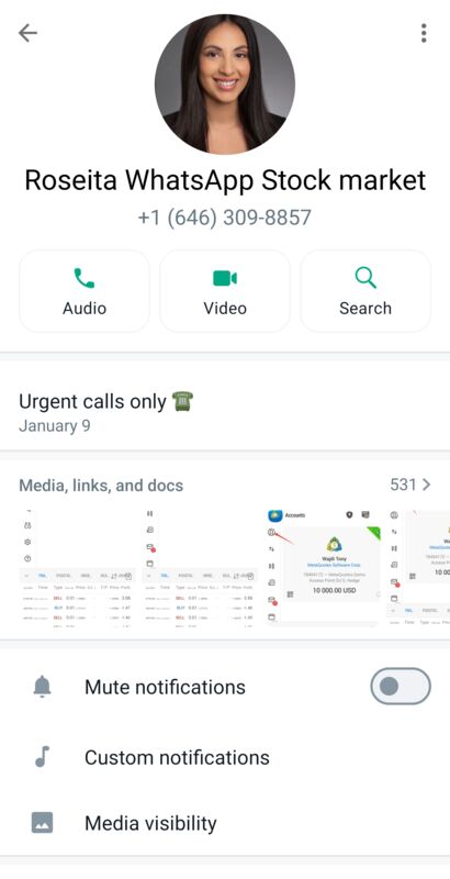 Webfx.leiwowfx.com | 1 report